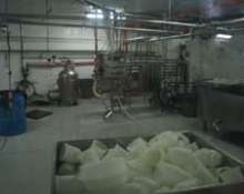 Monteverde Cheese Factory | Monteverde Tours