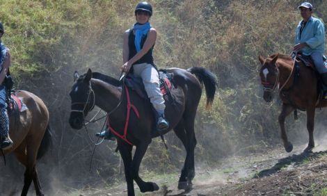 Costa Rica Horseback Riding Vacations & Tours | Monteverde Tours