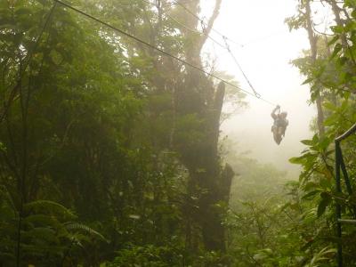Canopy Tours Costa Rica, Monteverde Canopy Tour | Monteverde Tours