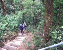 Monteverde Extremo Zipline Canopy Tour | Monteverde Tours