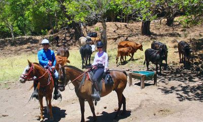 Costa Rica Horseback Riding Vacations & Tours | Monteverde Tours